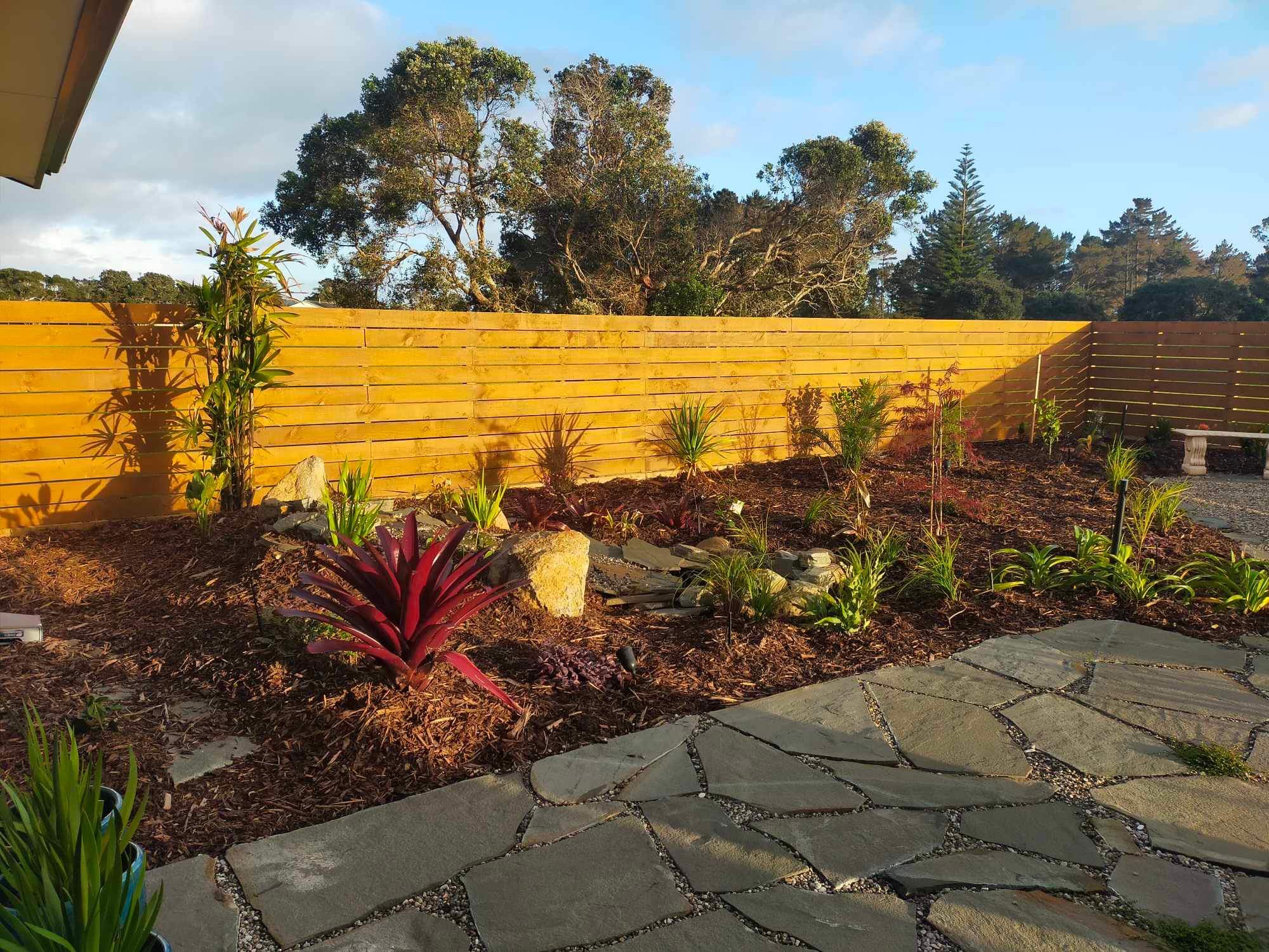 Tropical Backyard Oasis - Plantpro & Sons